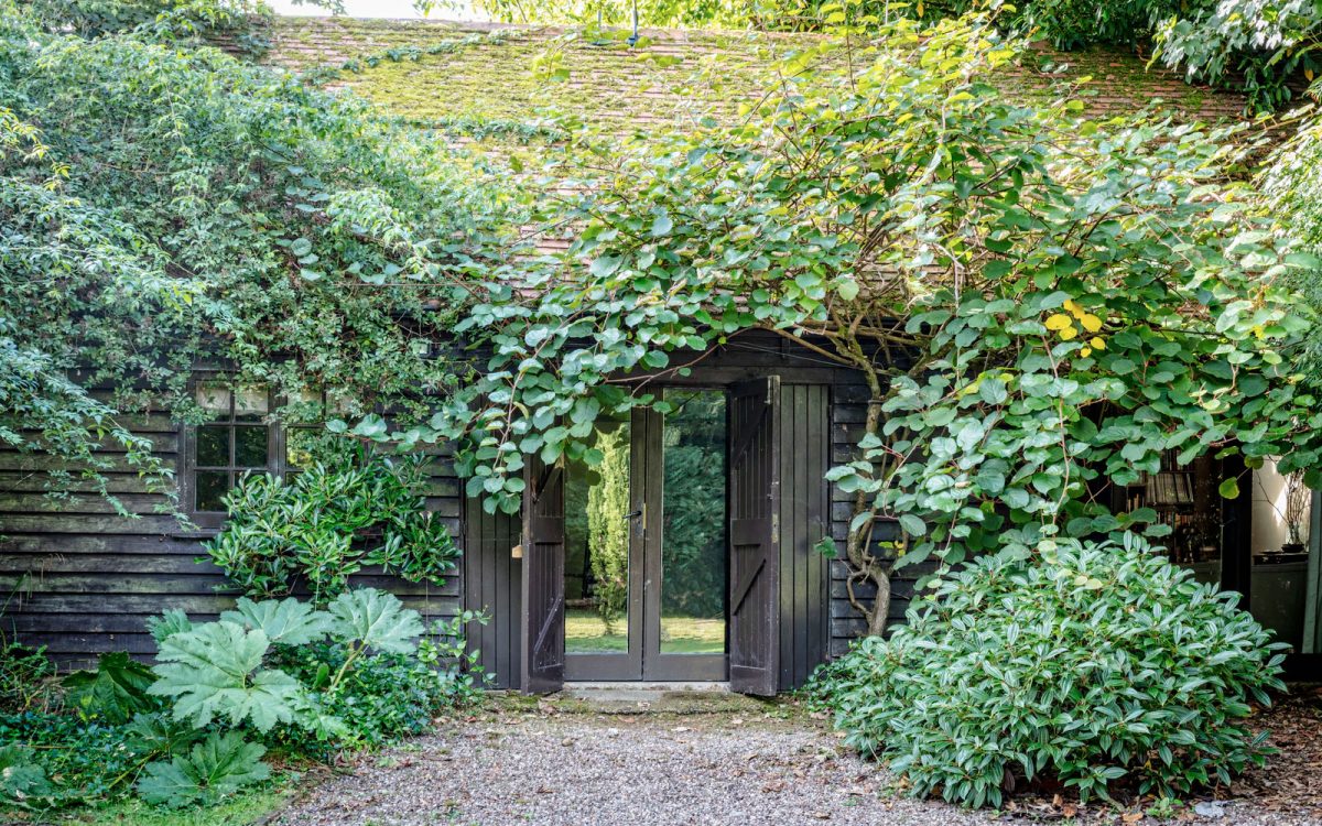 The Barn - Castle Cottage - Treehouse and Barn holiday lets
